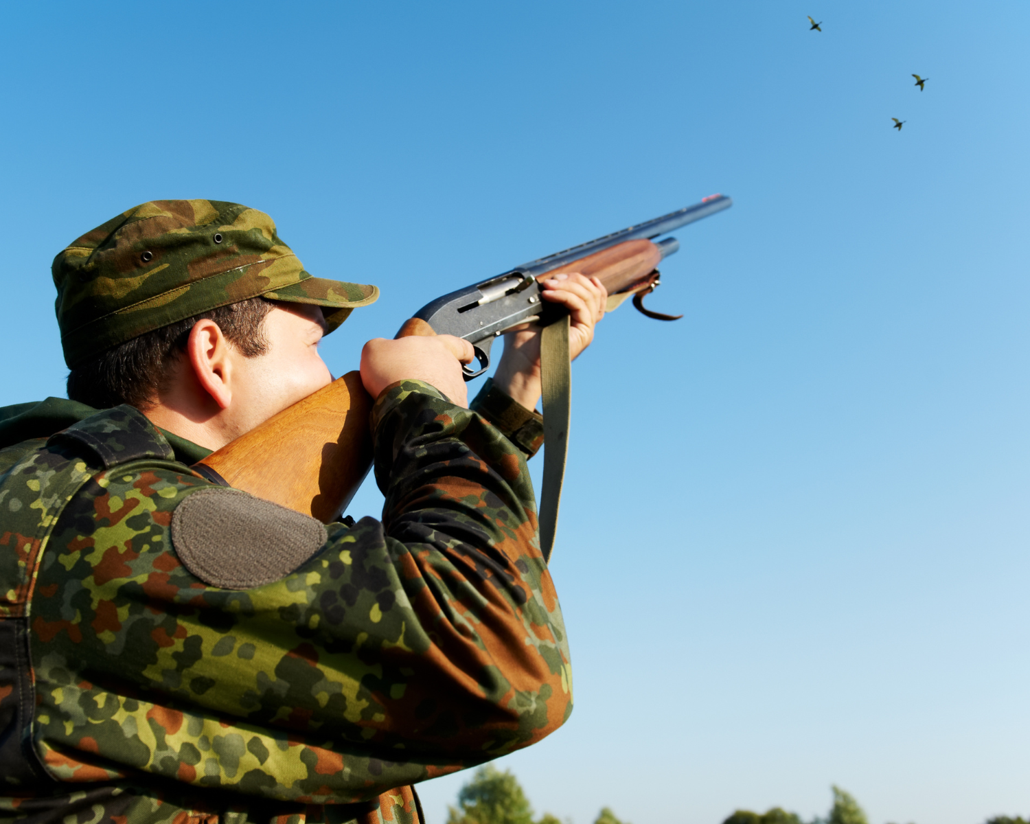 Home - Tri-County EMC