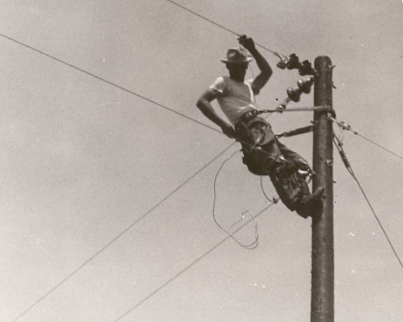 Home - Tri-County EMC